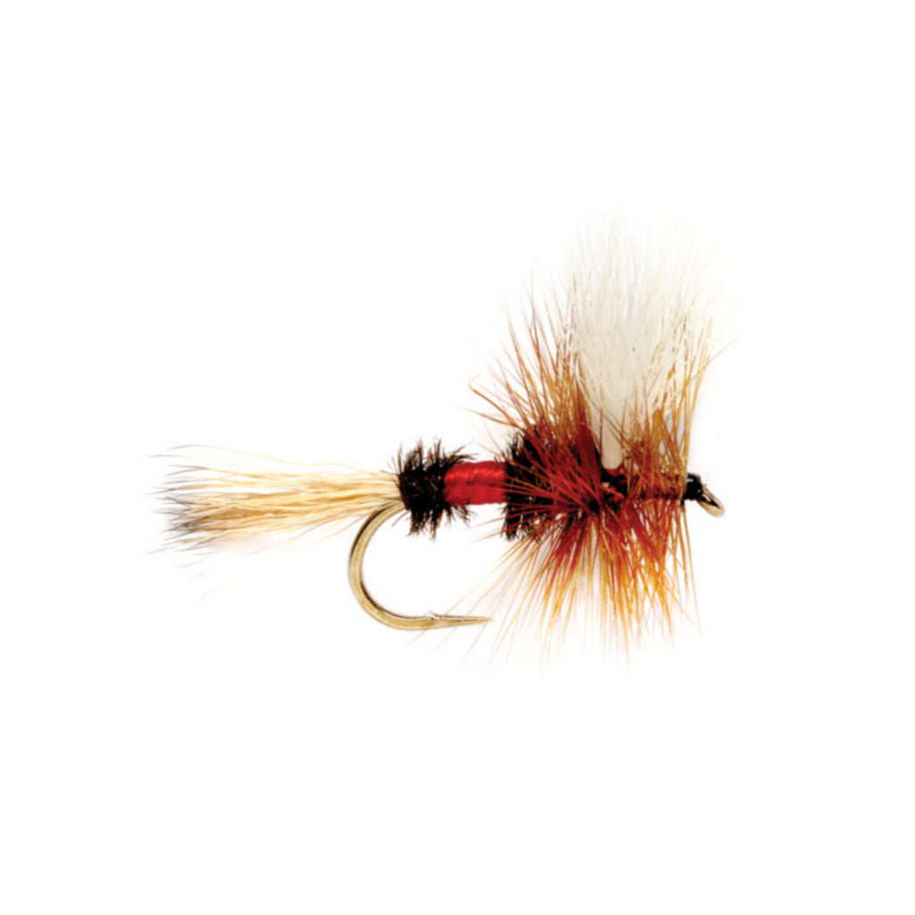 ROYAL WOLF – BLUE HALO FLY COMPANY